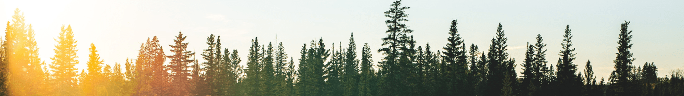 Wanderlust - Collection Automne 2023 | ORAKI