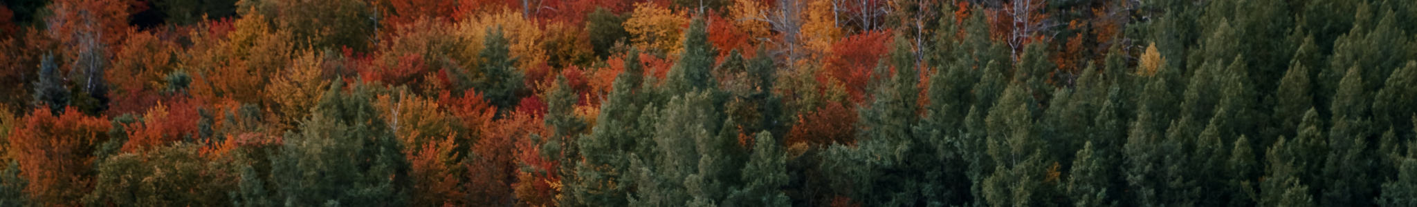 Sales | Women's Clothes Up to 60% Off | ORAKI